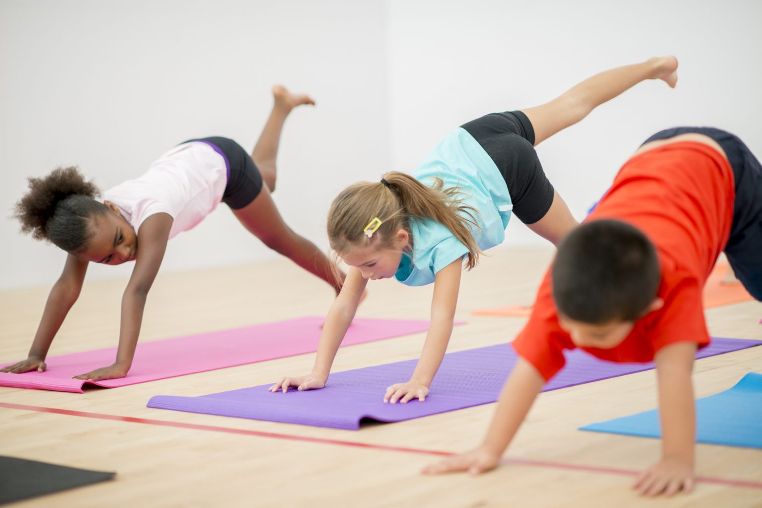 PLAYBuilder Activities To Stay Active Inside Sport For Life playbuilder-activities-to-stay-active-inside-sport-for-life